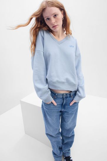 Buy Blue V-Neck Jumper from the Gap online shop