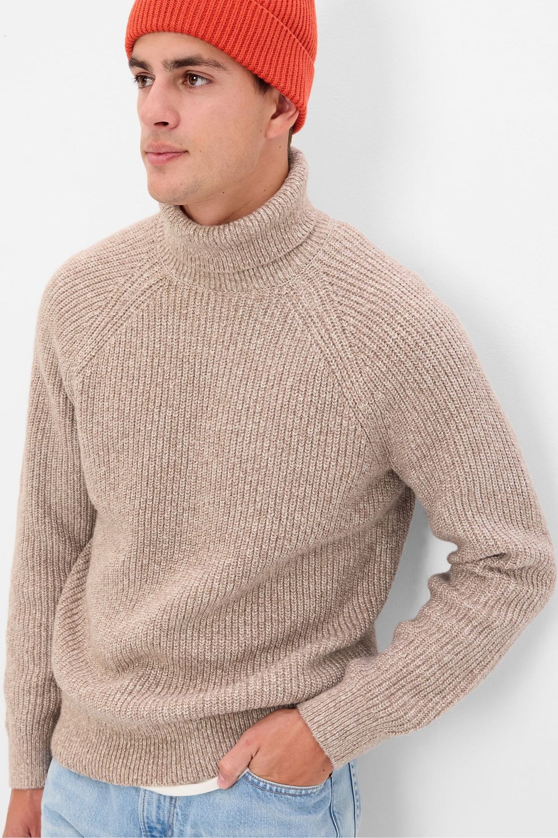 Buy Beige Chunky Turtle Neck Jumper from the Gap online shop