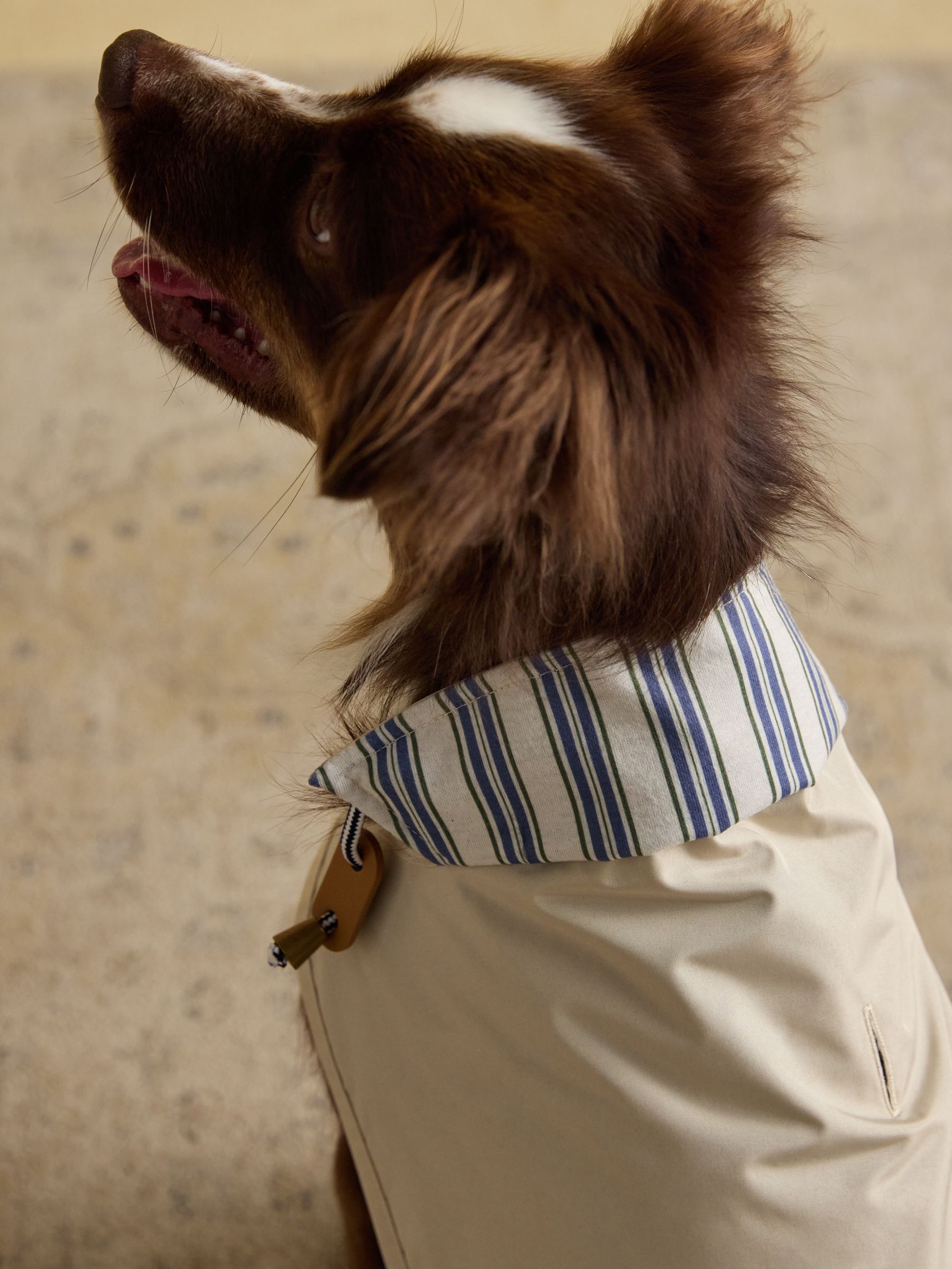 Beige Water-Resistant Dog Coat | Joules