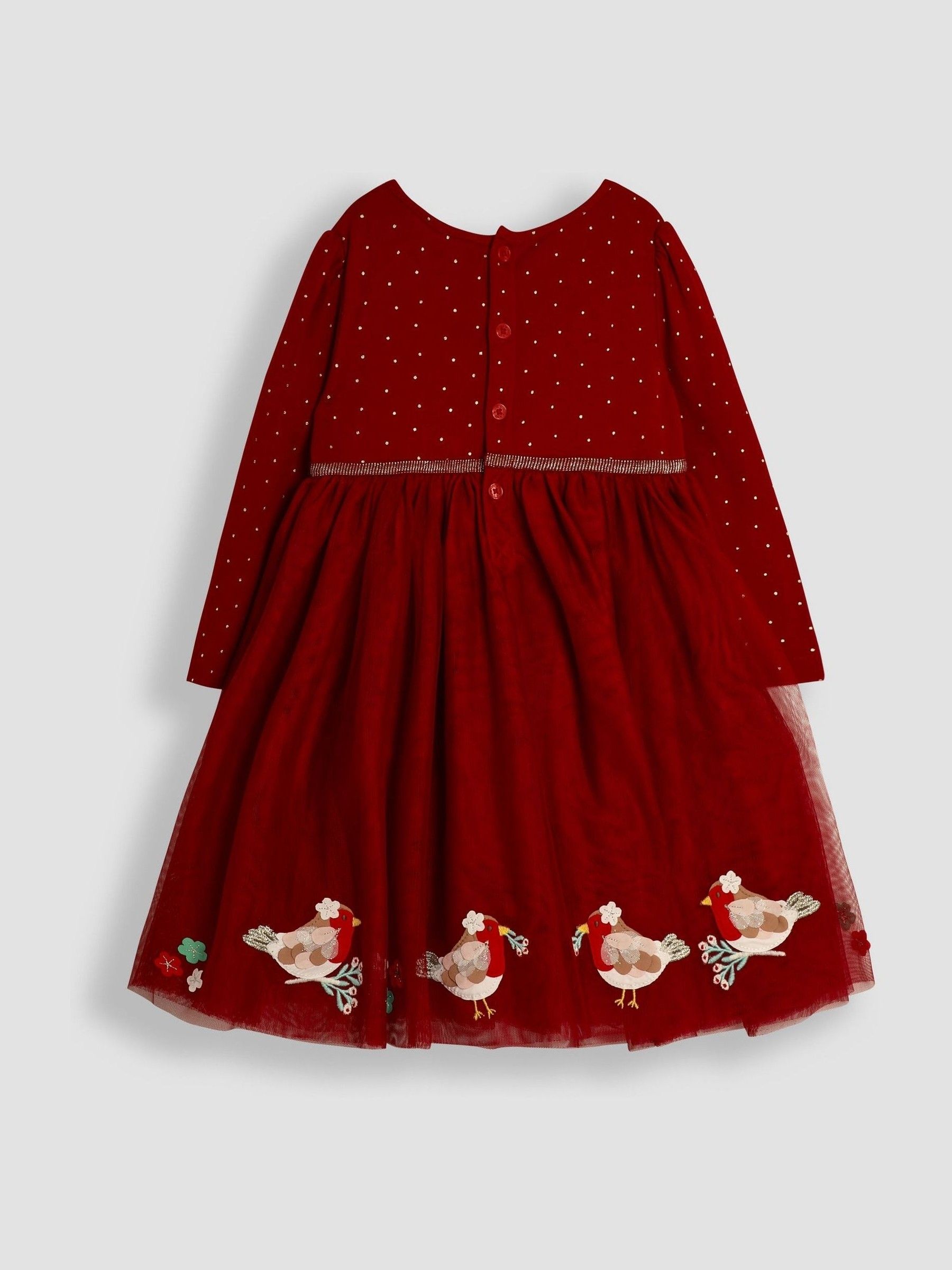 Red Robin Appliqué Tulle Party Dress | JoJo Maman Bébé