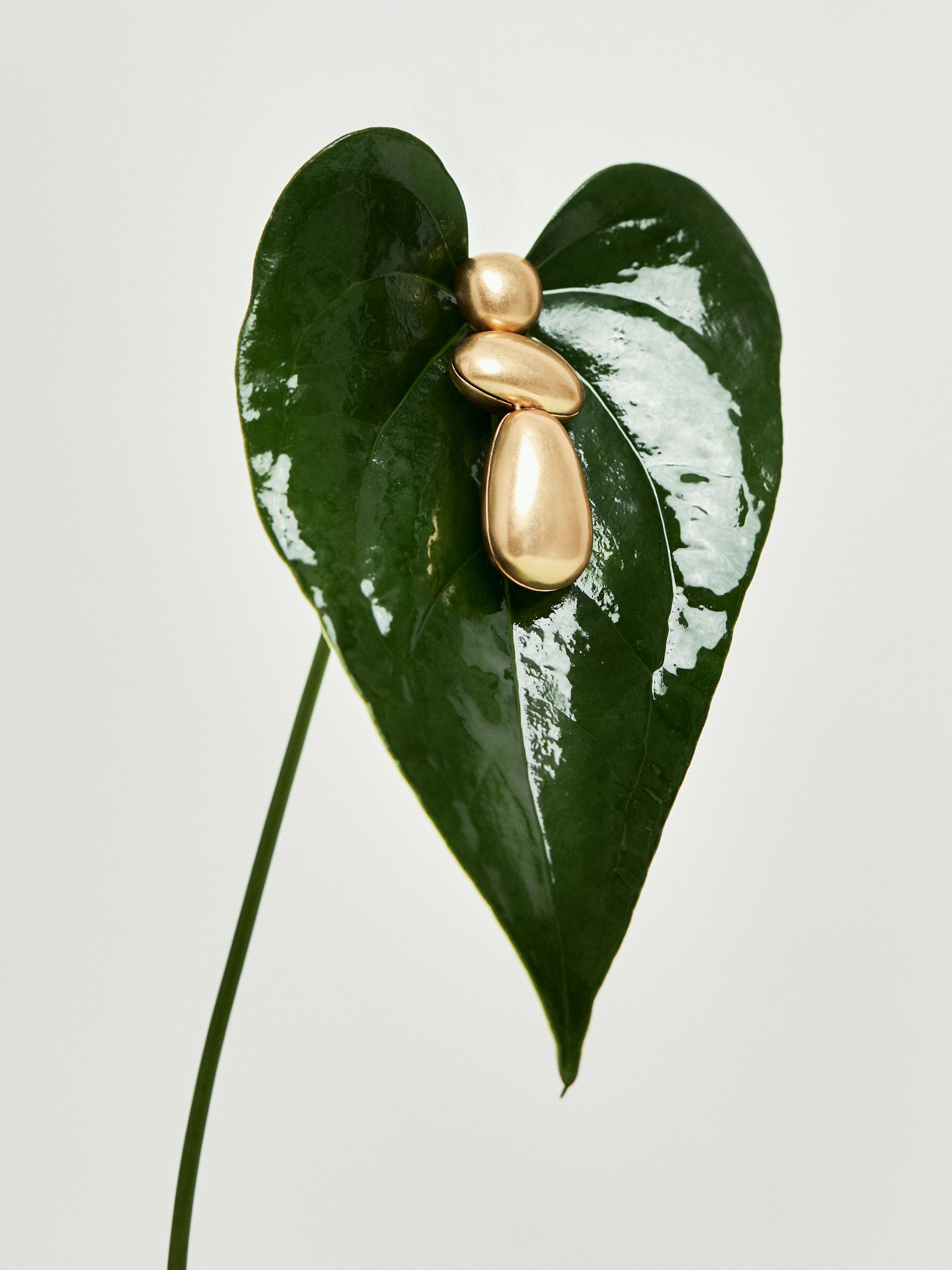 Reiss Dome Drop Earrings in Gold Tone | REISS