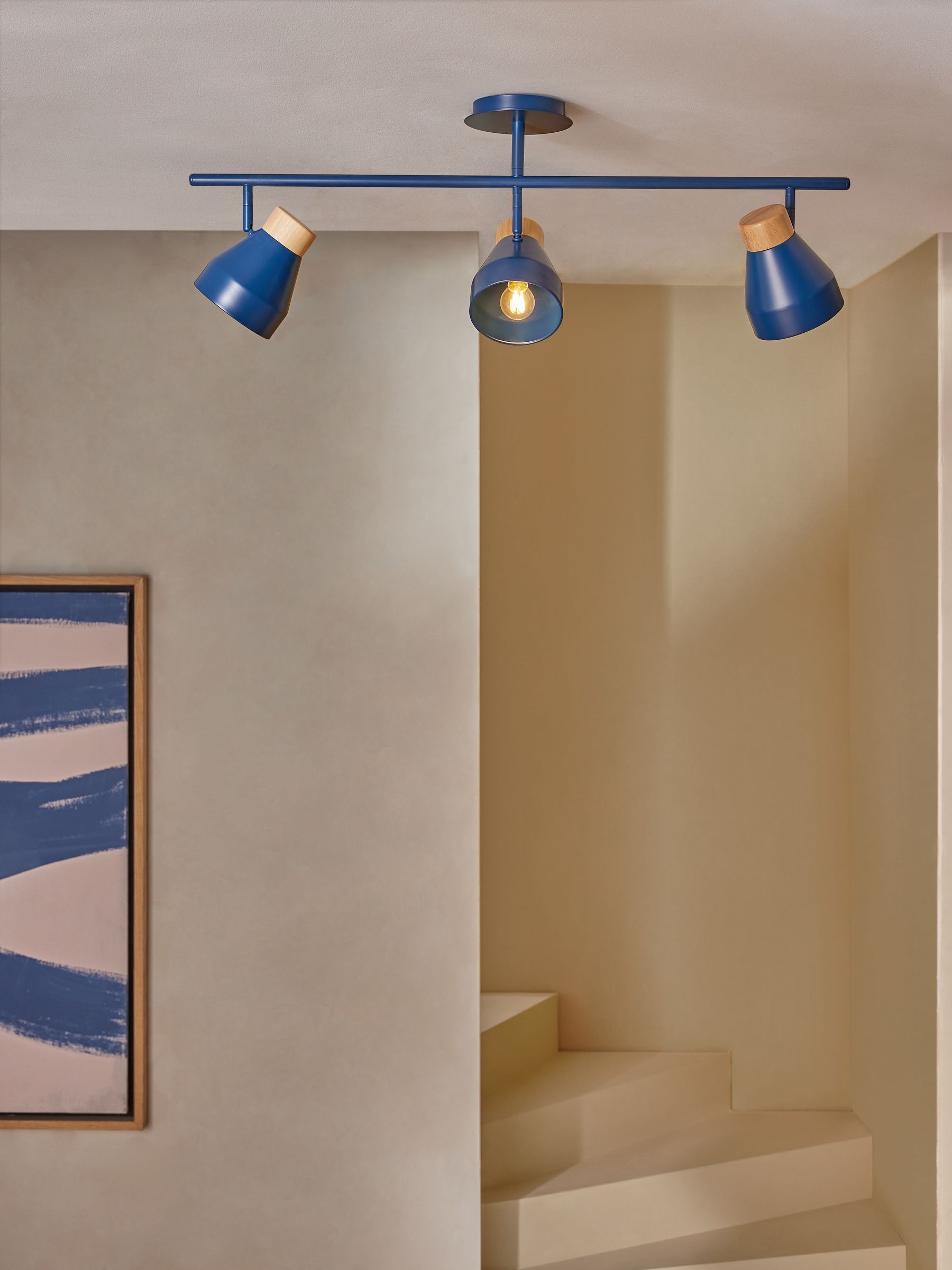 albert ceiling light