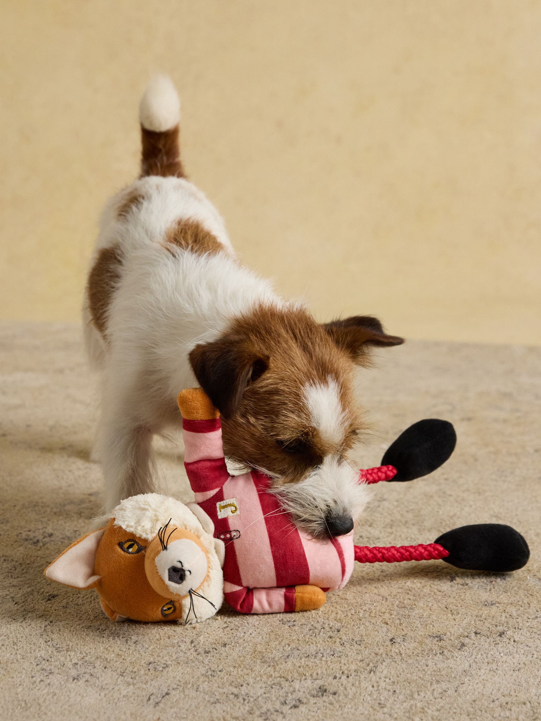 Rugby Jonty Fox Rugby Pet Toy | Joules